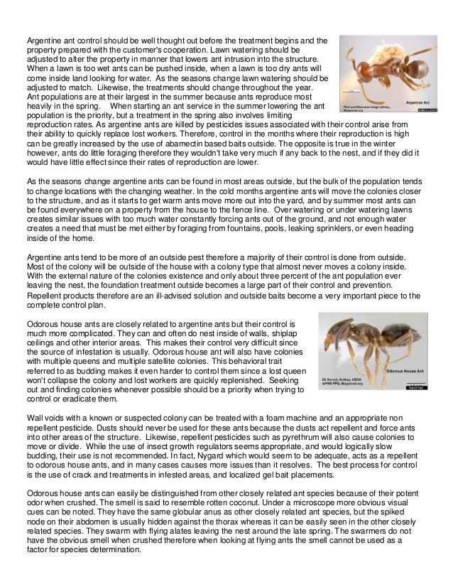 Course Advanced Ants.pptx