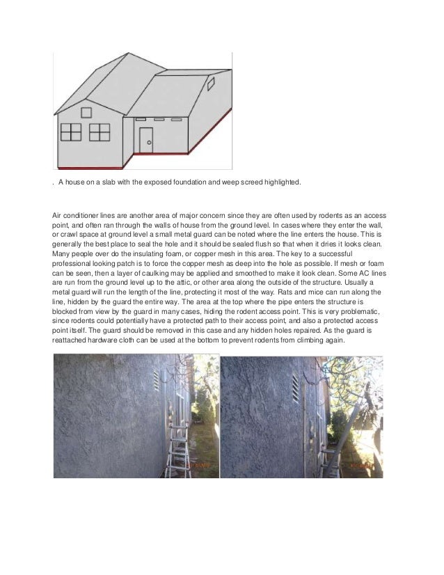 Course Advance Rodent Control (1).pptx