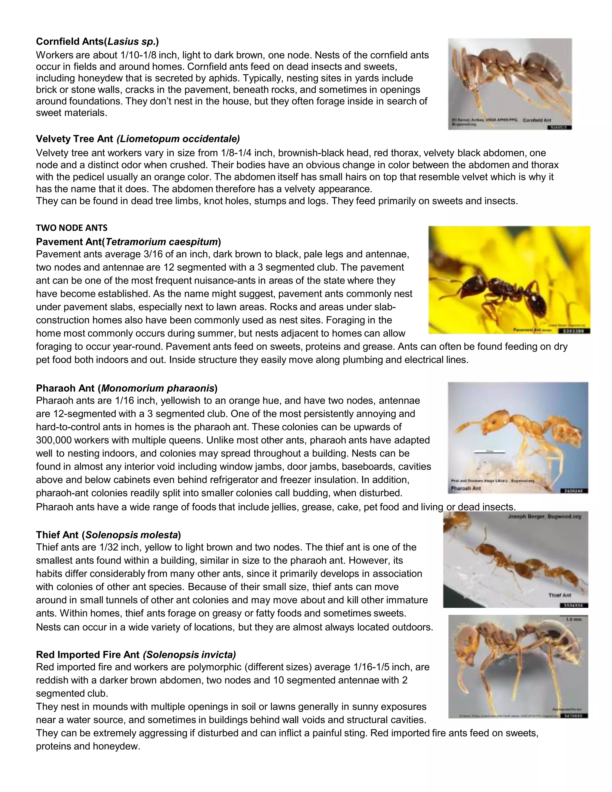Course ANTS One & Two Node.pptx
