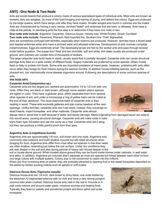 Course ANTS One & Two Node.pptx