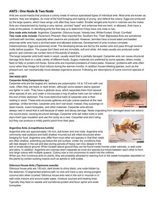 Course ANTS One & Two Node (1).pptx