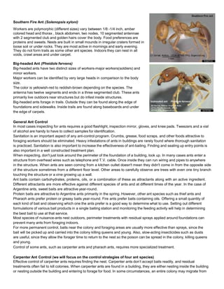 Course ANTS One & Two Node (1).pptx