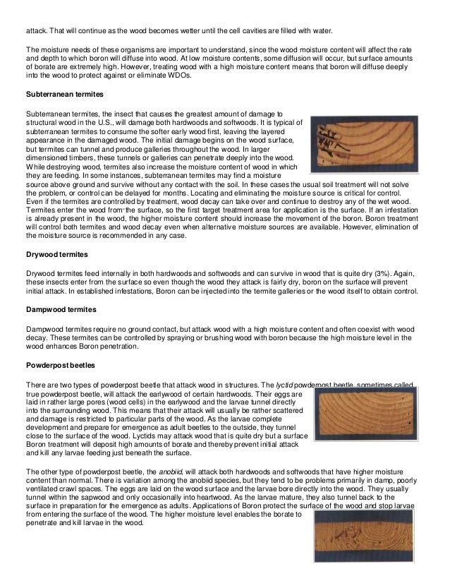 COURSE Borates and the Facts About Wood (2).pptx