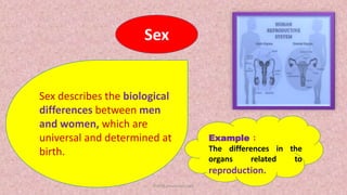 Course Code-BD4GS-unit-1-Gender Roles in Society.pptx