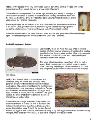 Course Controlling wood boring beetles in homes.pptx