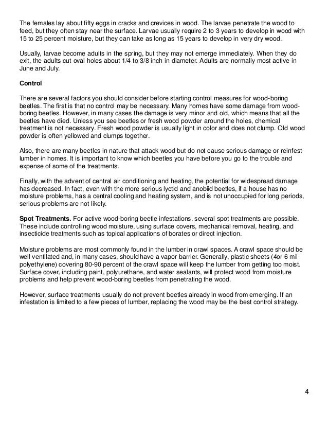 Course Controlling wood boring beetles in homes (1).pptx