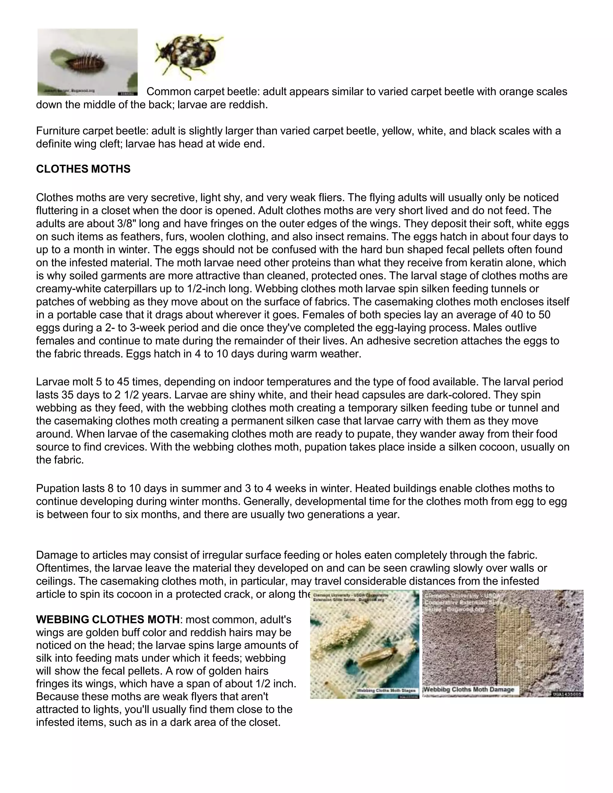 Course FABRIC PESTS (2).doc (1).pptx
