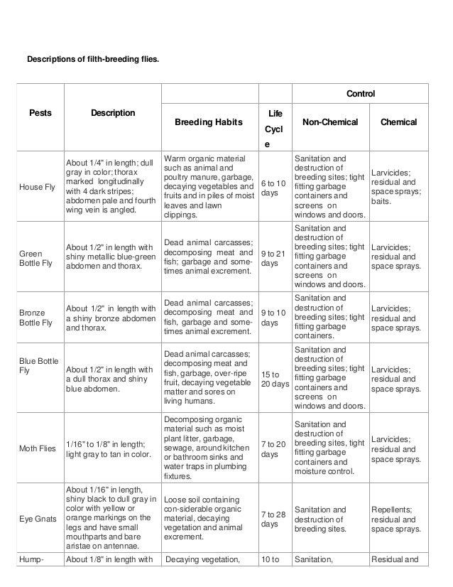 Course Filth-Breeding Flies and What You Need To Know.pptx