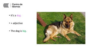 Course II Adjectives.pdf