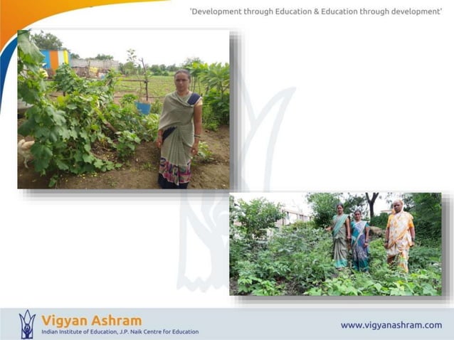 kitchen garden | PPT