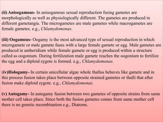 Course Name-Biology and Diversity of Algae, Bryophyta and Pteridophyta ...