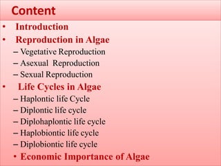 Course Name-Biology and Diversity of Algae, Bryophyta and Pteridophyta ...