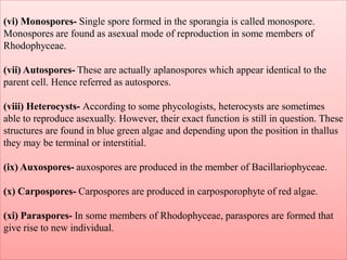 Course Name-Biology and Diversity of Algae, Bryophyta and Pteridophyta ...