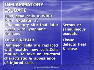 Course of infection | PPSX