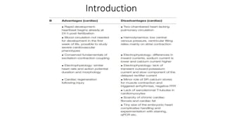 Course Presentation - Aquatic Animal Anatomy.pptx