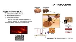 Coursera work: Understanding the Brain: The Neurobiology of Everyday ...