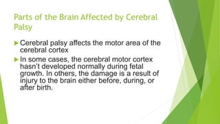Understanding Neurobiology final project: Cerebral palsy | PPT