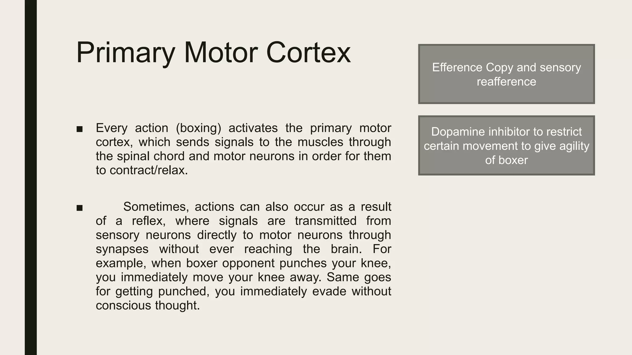 Everyday Neurobiology Boxing JD | PPTX