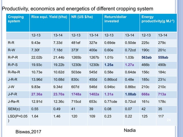 sustainabilty of rice wheat cropping system