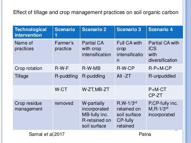 sustainabilty of rice wheat cropping system