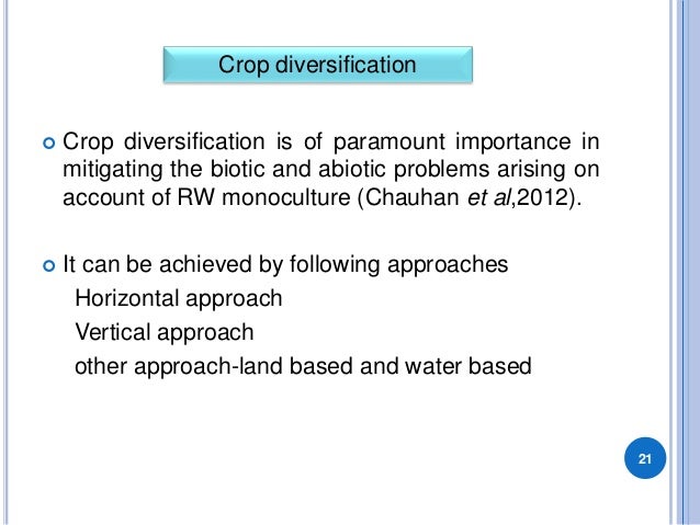 sustainabilty of rice wheat cropping system