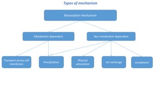 BIOSORPTION OF HEAVY METALS BY VARIOUS ORGANISMS (BACTERIA, ALGAE AND ...
