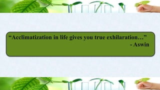 Seminar plantlet response to seismomorphogenic stimuli (mechanical ...