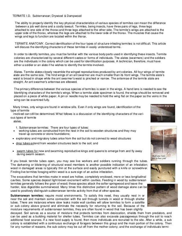 Course TERMITE I.D. Subterranean; Drywood & Dampwood.pptx