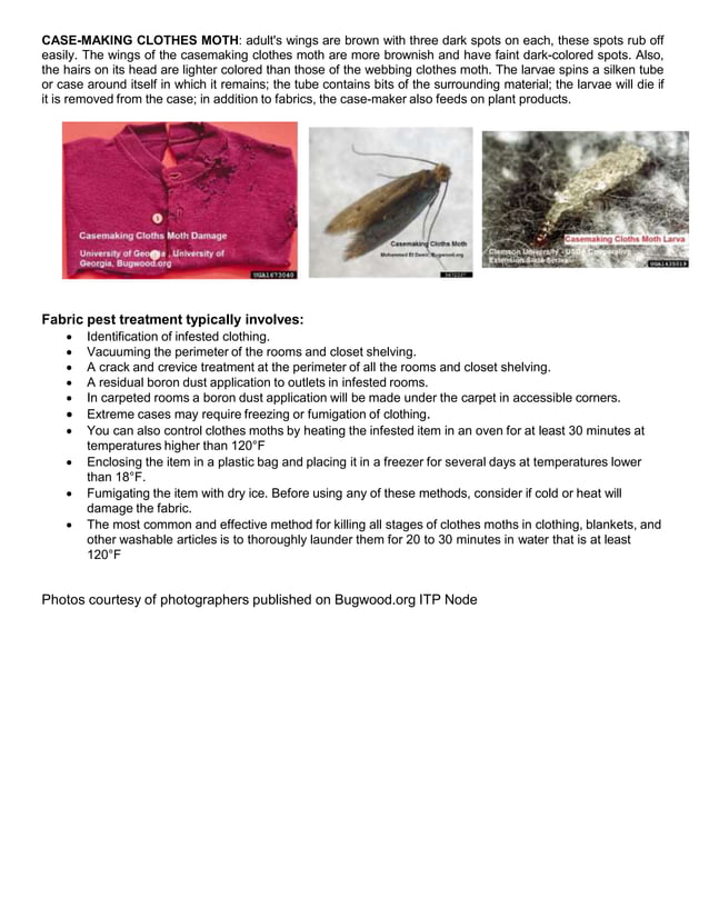 Course The FACTS ABOUT FABRIC PESTS .pptx
