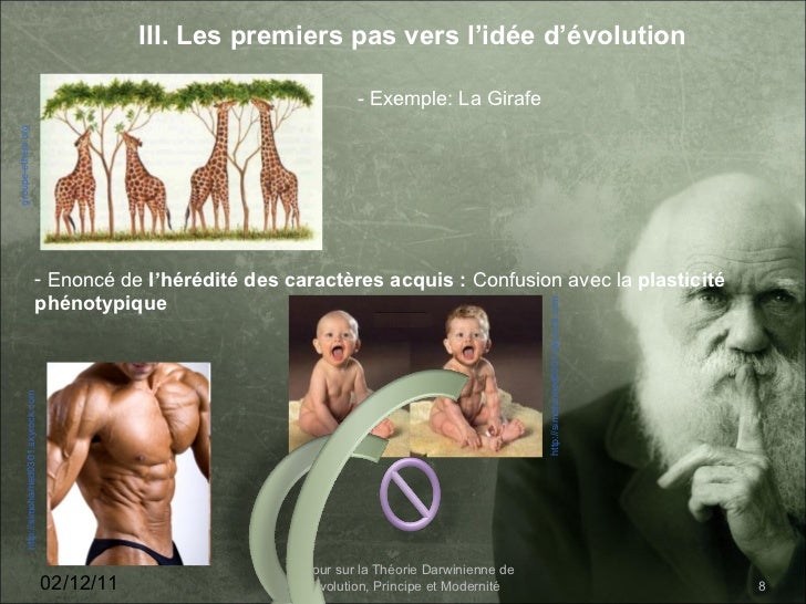 Présentation Retour sur la Théorie Darwinienne de l'Evolution, Princi…