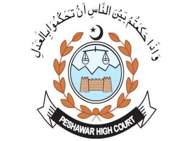 Court system-of-pakistan-lecture-3 | PPT | Free Download