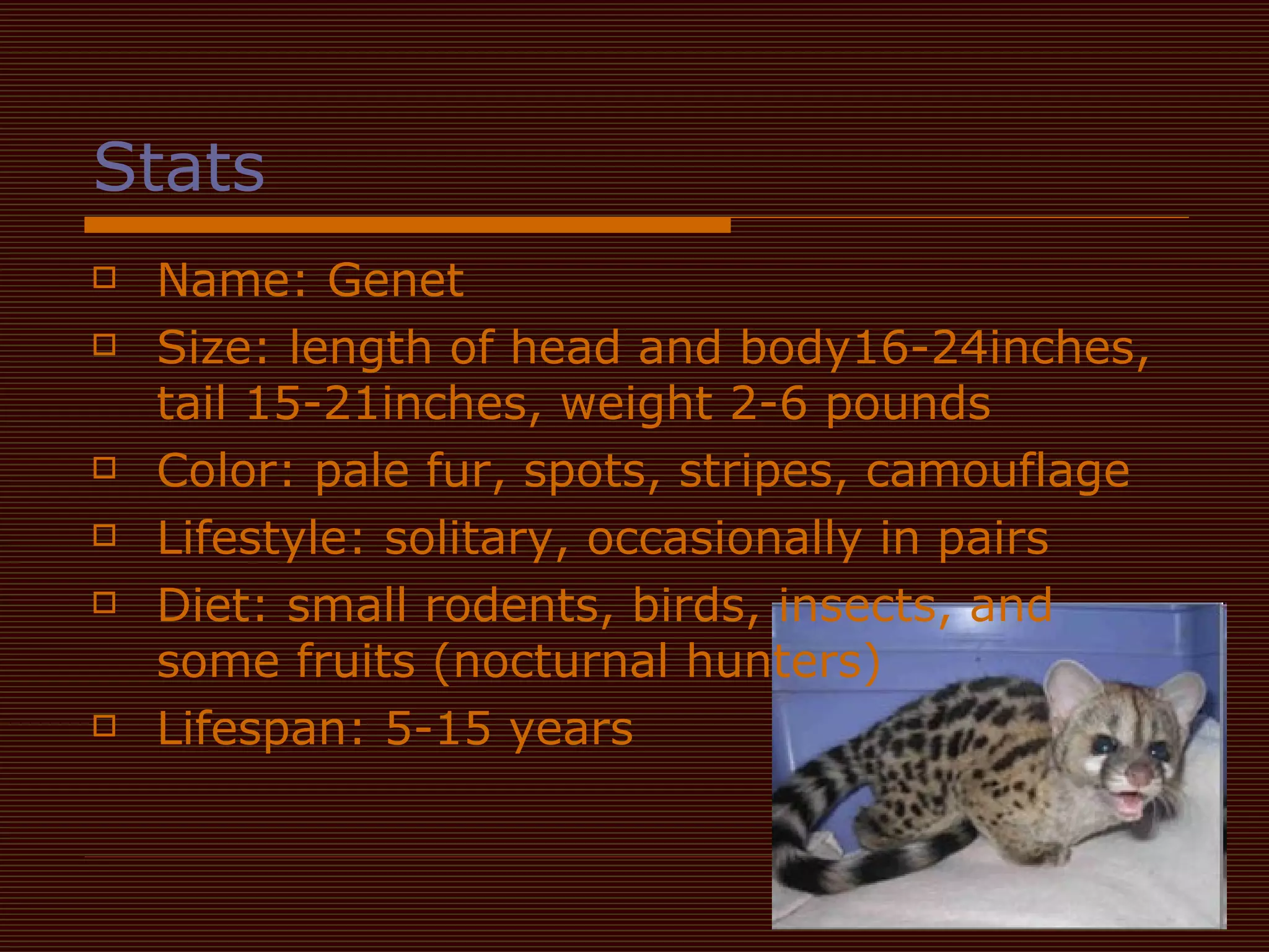 Courtney finkbohner genet 1st period | PPT