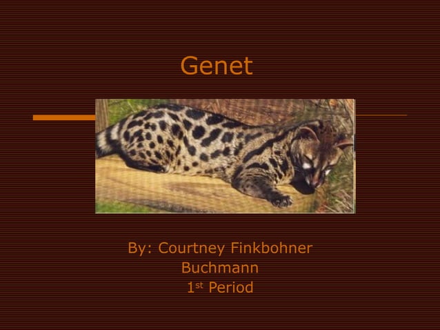 Courtney finkbohner genet 1st period | PPT