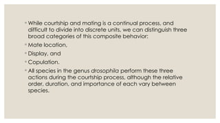 Mating Behaviour and Courtship in Drosophila.pptx