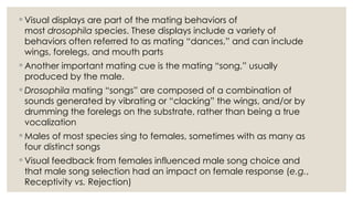Mating Behaviour and Courtship in Drosophila.pptx
