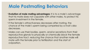 Mating Behaviour and Courtship in Drosophila.pptx