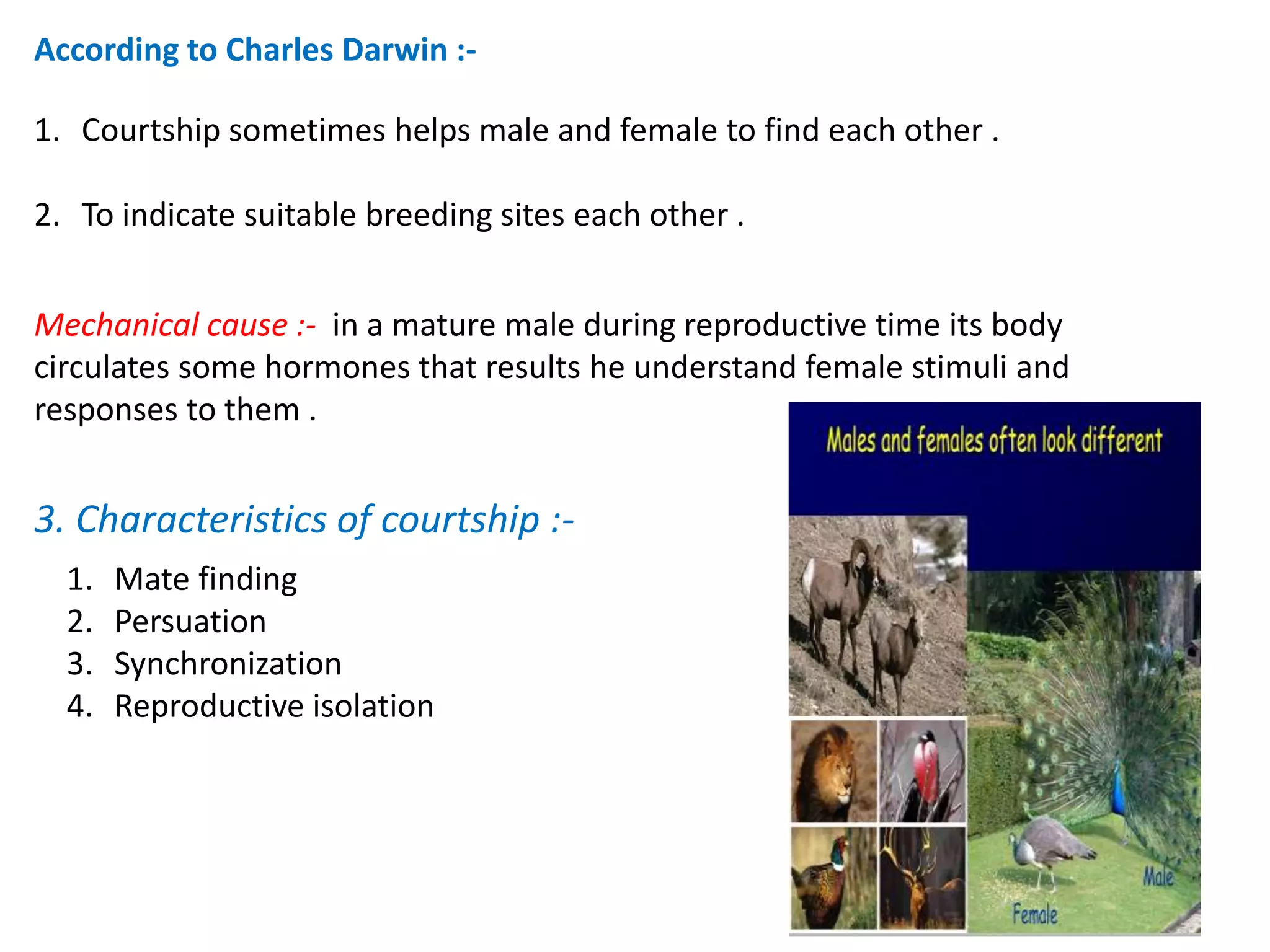 Courtship Kalyan.pptx