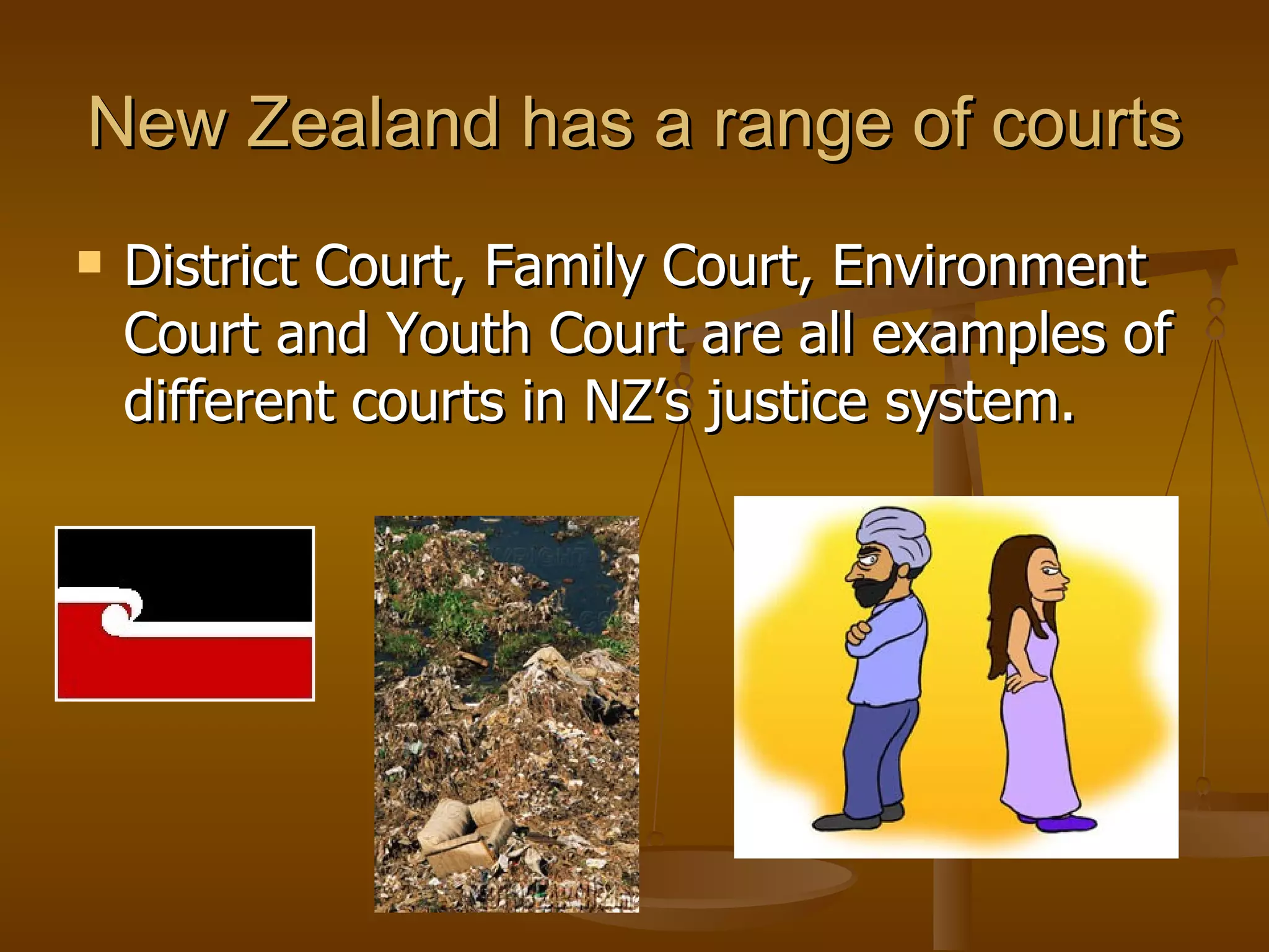 Courts in new zealand | PPT