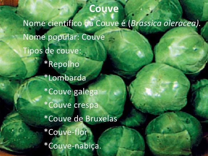 Quais São Os Tipos De Couves | Quais So As Variedades De Couve Resposta ...