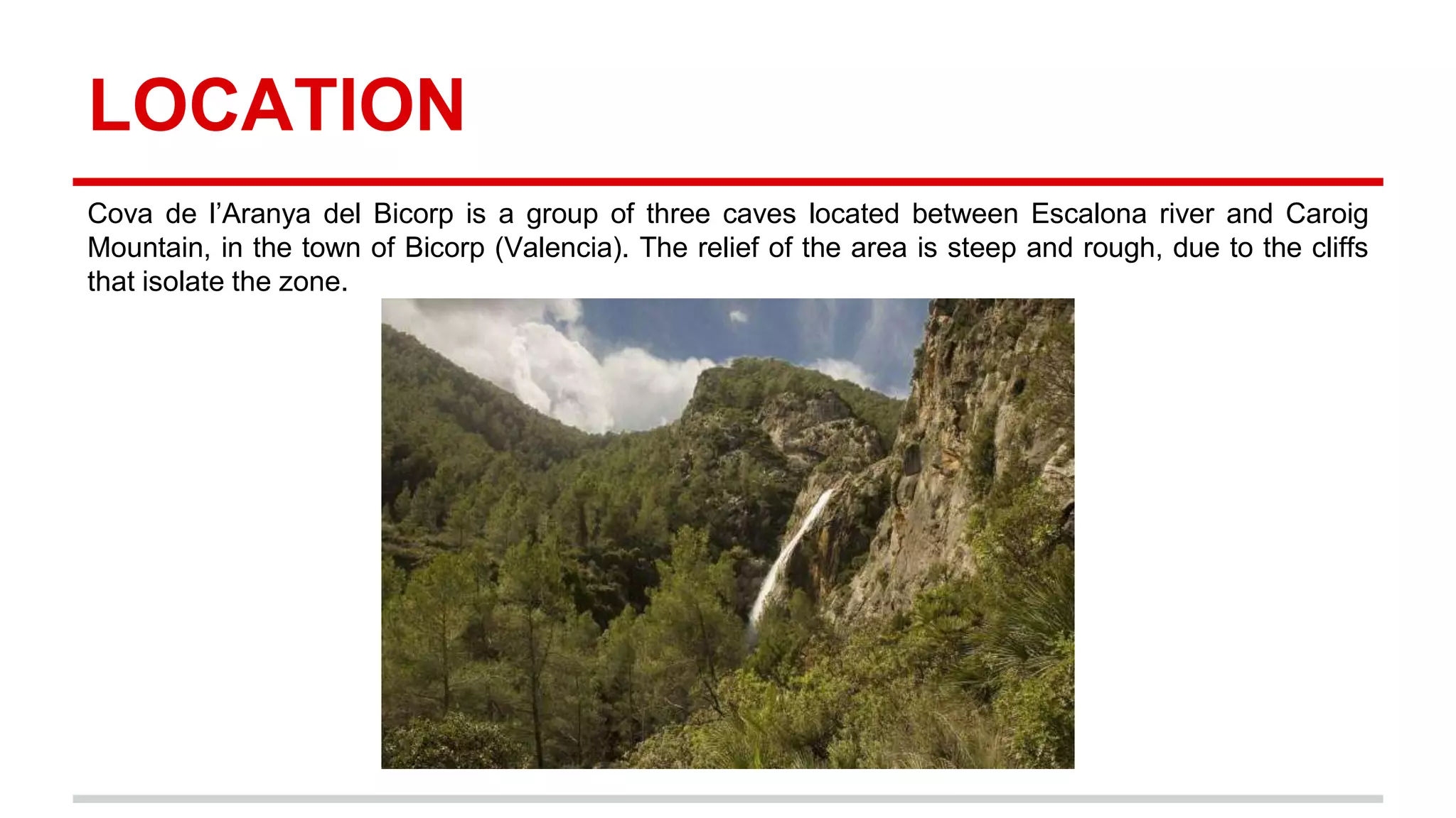 Cova de l'Aranya del Bicorp | PPTX