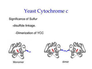 Covalent Versus Electrostatic Attachment of Yeast Cytochrome c to a Fused Silica Surface | PPT