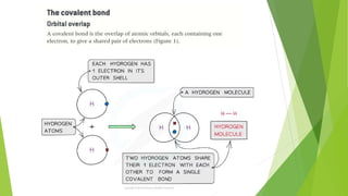 Covalent bond (1). classification and composition | PPT