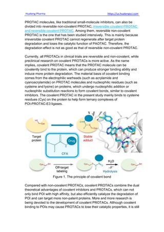Covalent PROTACs, An Emerging Protein Degradation Technology.pdf