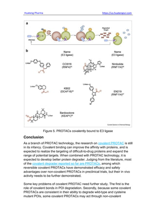 Covalent PROTACs, An Emerging Protein Degradation Technology.pdf