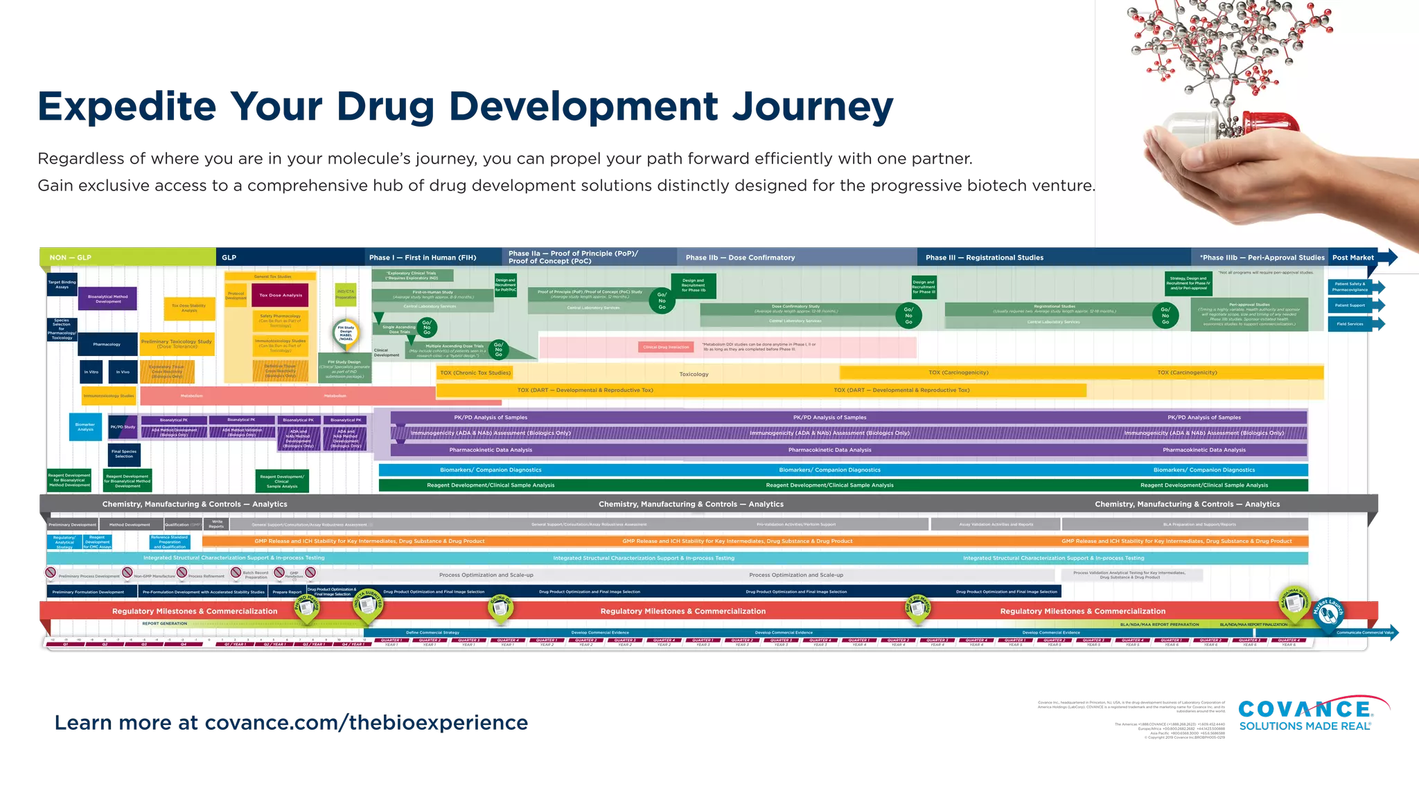 Covance Drug Development Journey Map | PDF