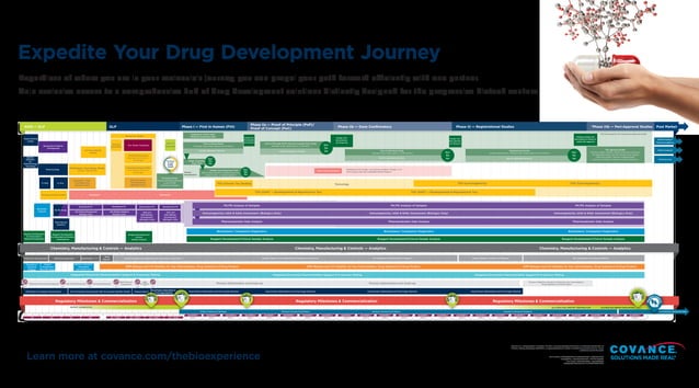 Covance Drug Development Journey Map | PDF
