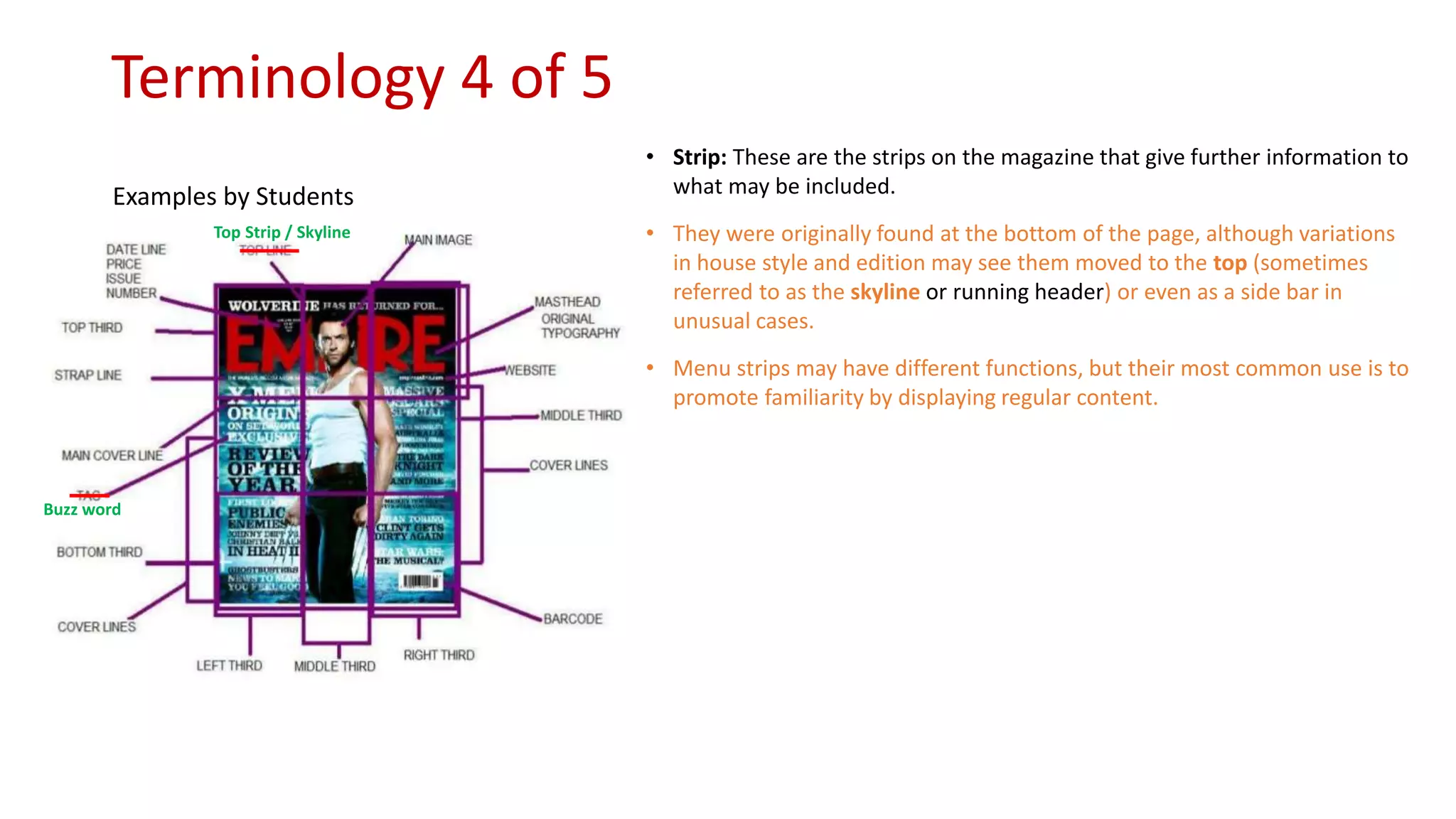 Magazine Cover Terminology | PPTX