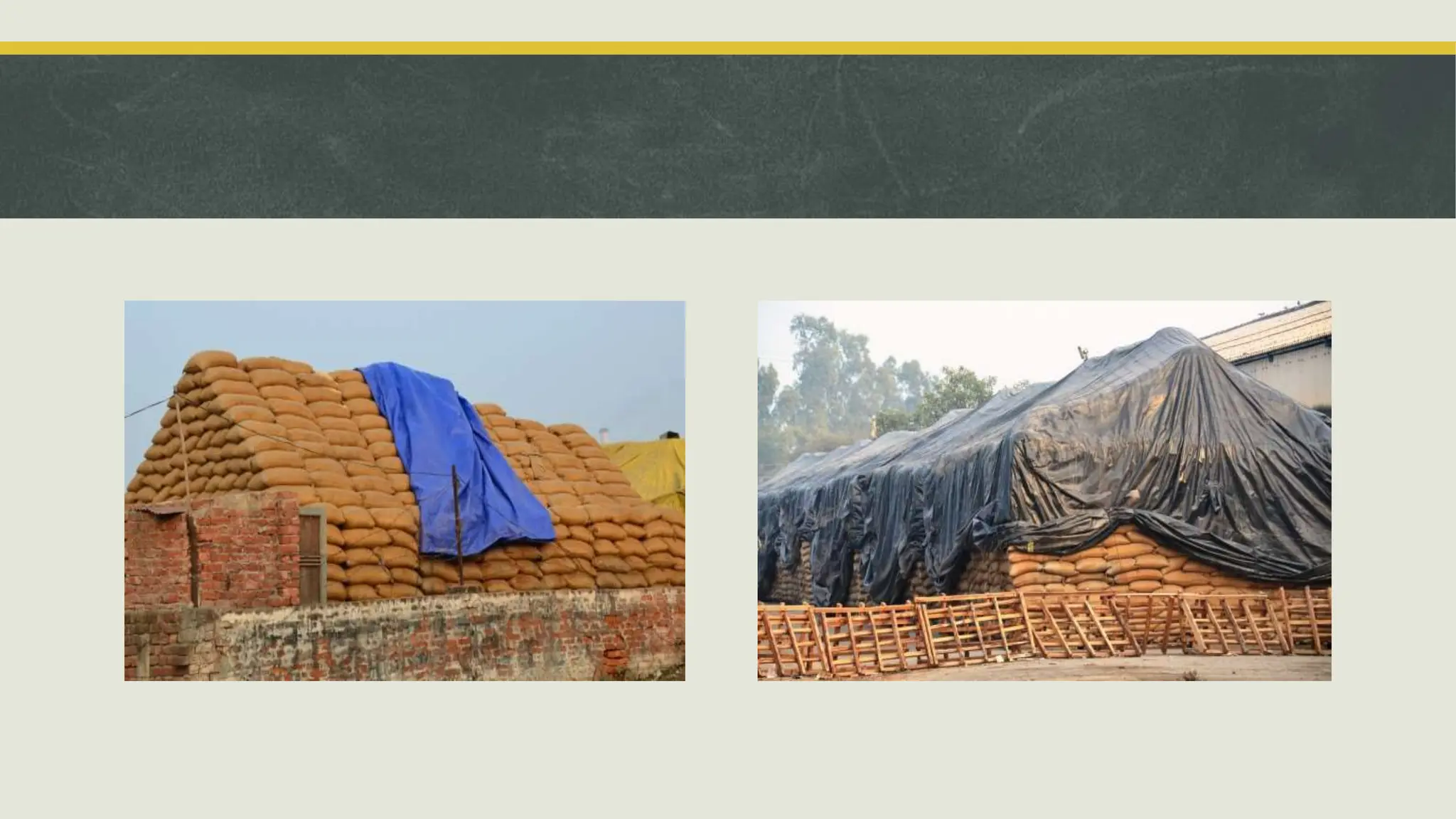 COVER AND PLINTH STORAGE SYSTEM USED IN FOOD.pptx