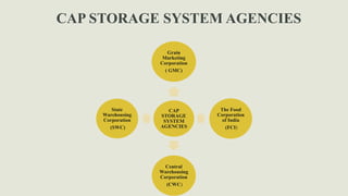 COVER AND PLINTH STORAGE SYSTEM USED IN FOOD.pptx