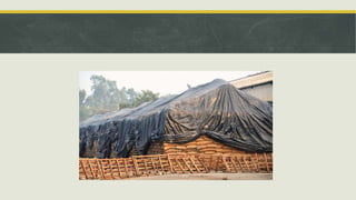 COVER AND PLINTH STORAGE SYSTEM USED IN FOOD.pptx